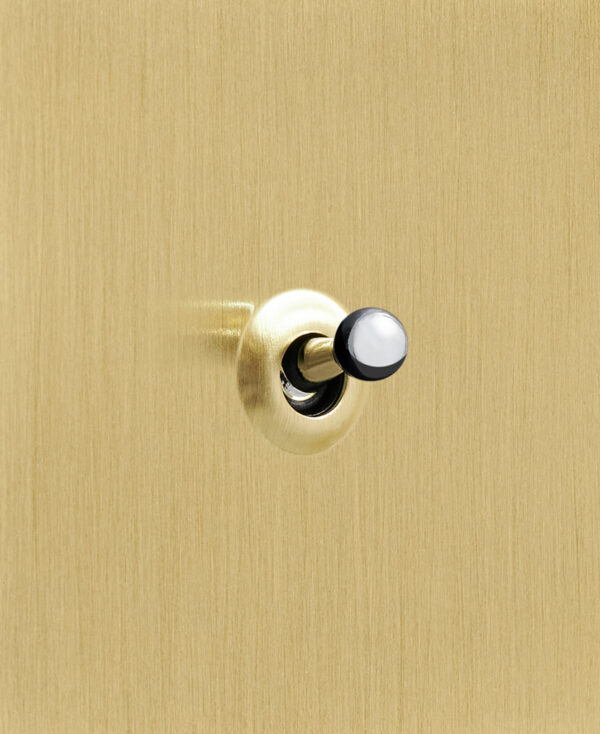 Brass Toggle Switch with Gold, White, Black or Silver Toggle
