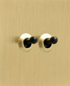 Toggle Light Switches - Gold Double Toggle Switch