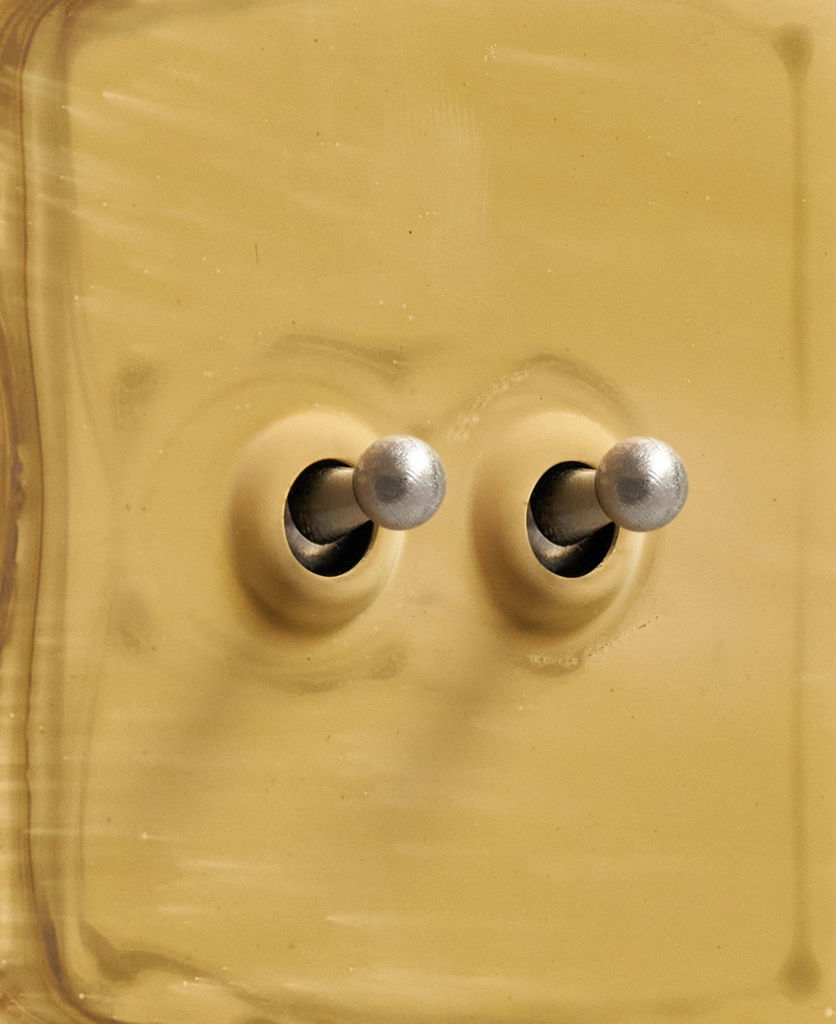 Toggle Switches - Smoked Gold Double Toggle Switch