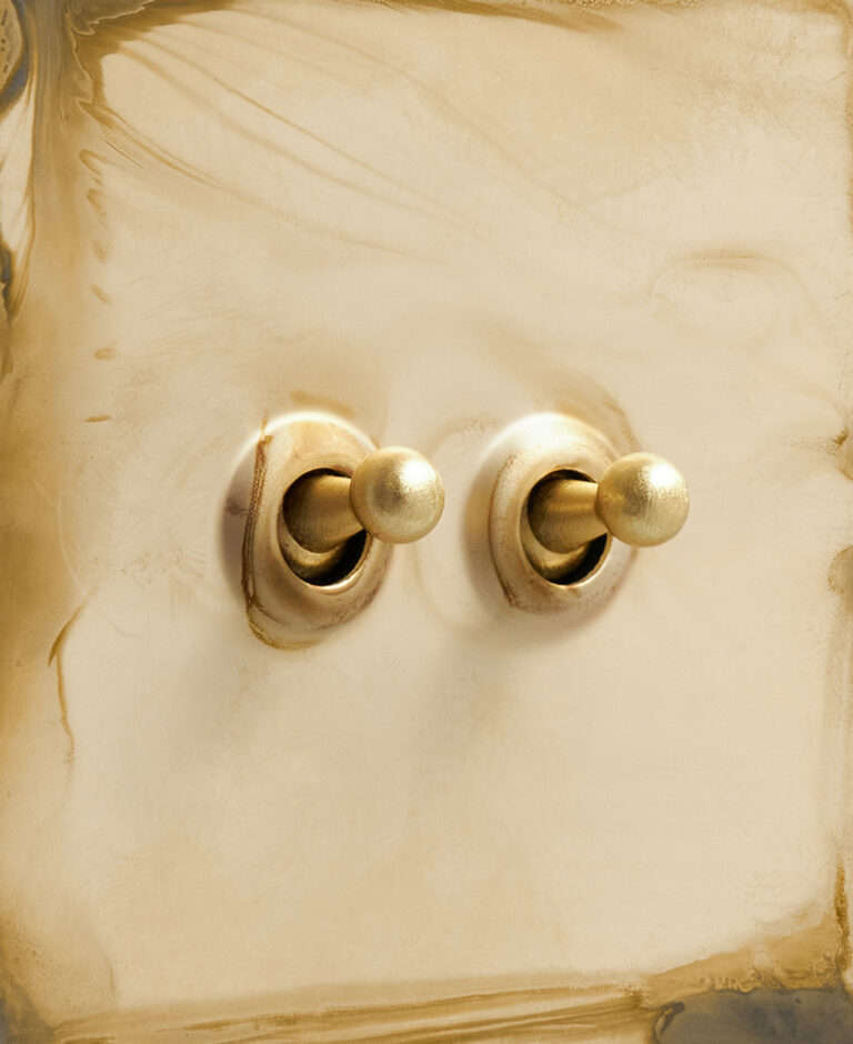 Toggle Switches - Smoked Gold Double Toggle Switch