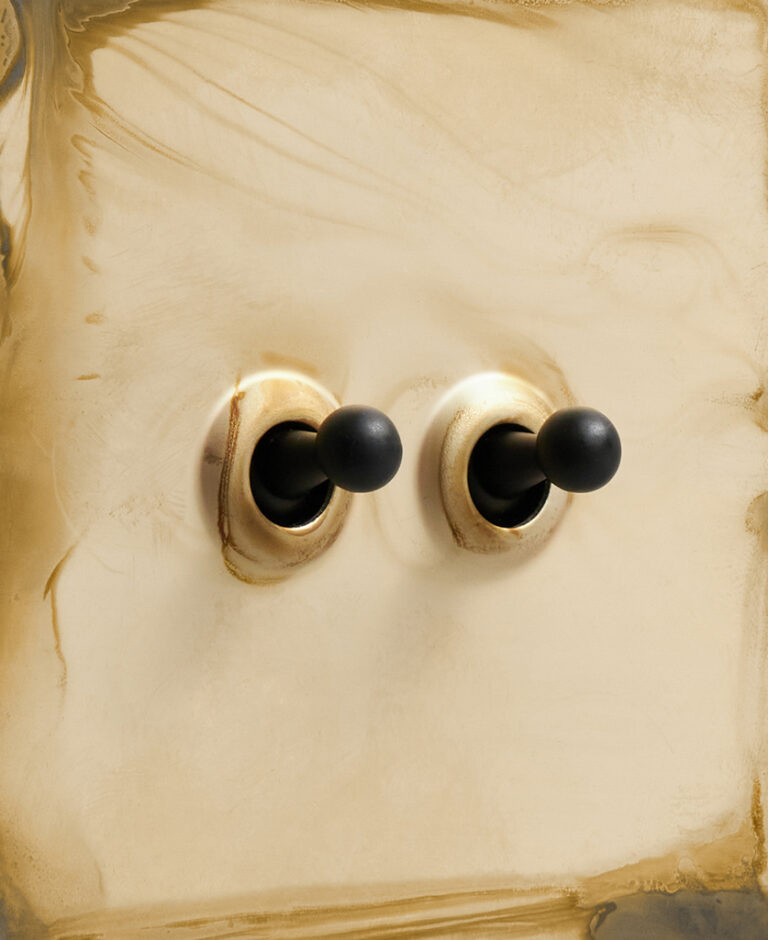 Toggle Switches - Smoked Gold Double Toggle Switch