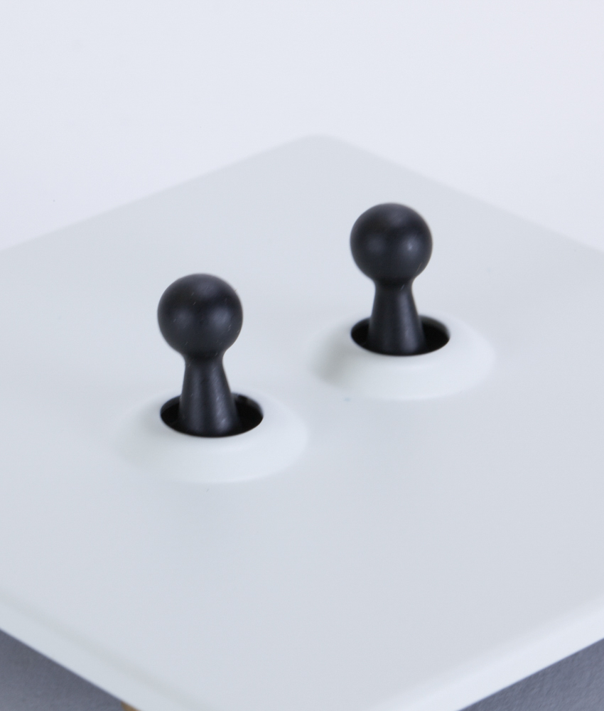 White Toggle Light Switch with Black, White Gold, Silver Toggles