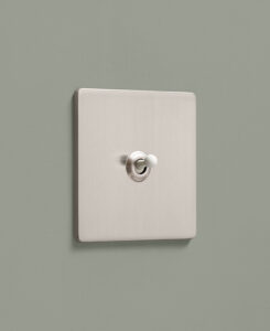 Silver Toggle Switch with Choice of Coloured Toggles