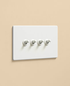 LED Toggle Switch White - With Choice of Toggles