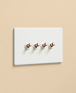 LED Toggle Switch White - With Choice of Toggles