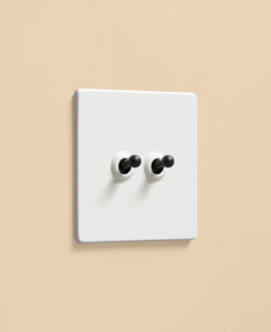 White Toggle Light Switch | Dowsing & Reynolds