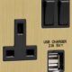 USB Double Socket Gold - with Black or White Inserts