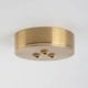 Plain Ceiling Rose - Fool's Gold Multi Outlet Ceiling Roses