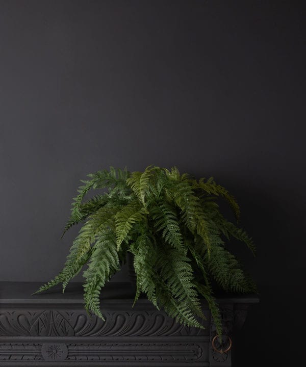 Faux Plants - Dowsing & Reynolds