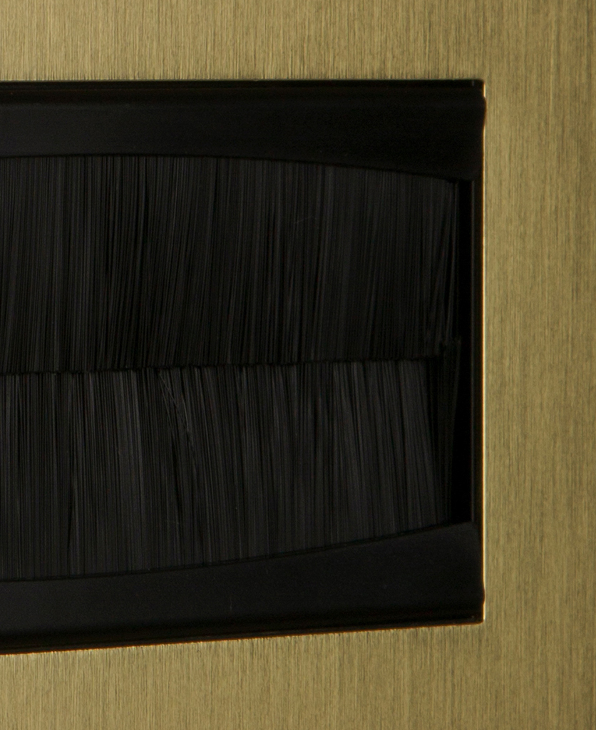 Gold Double Brush Plate - Brush Plate with Black or White Insert