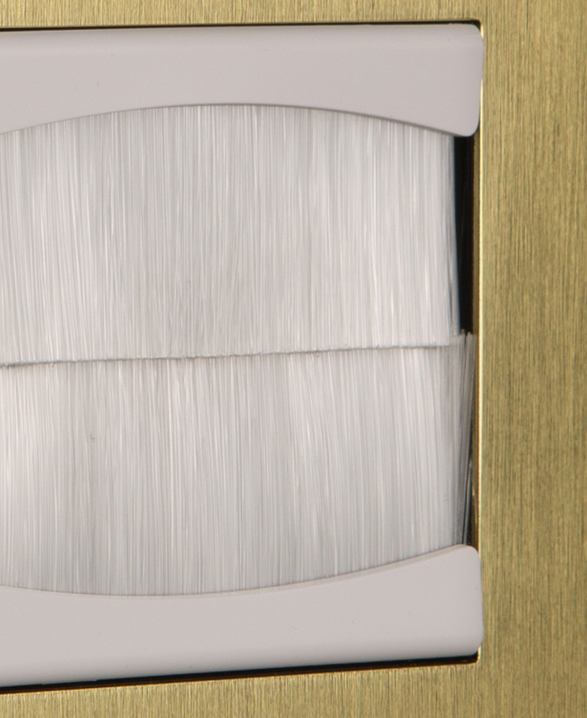 Gold Brush Plate - Single Brush Plate with Black or White Insert