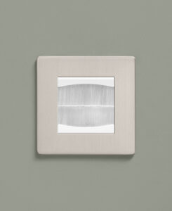 Single Brush Plate with Black or White Insert | Order Now