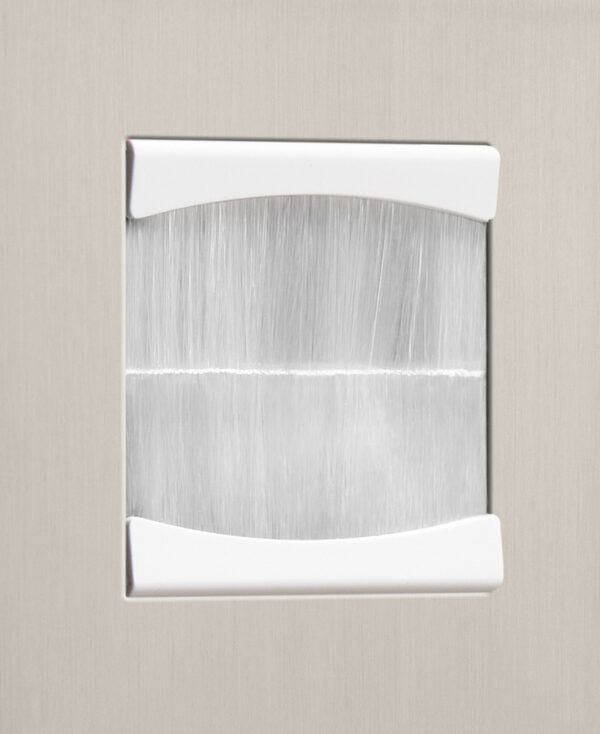 Single Brush Plate with Black or White Insert | Order Now