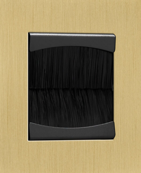Gold Single Brush Plate with Black or White Insert