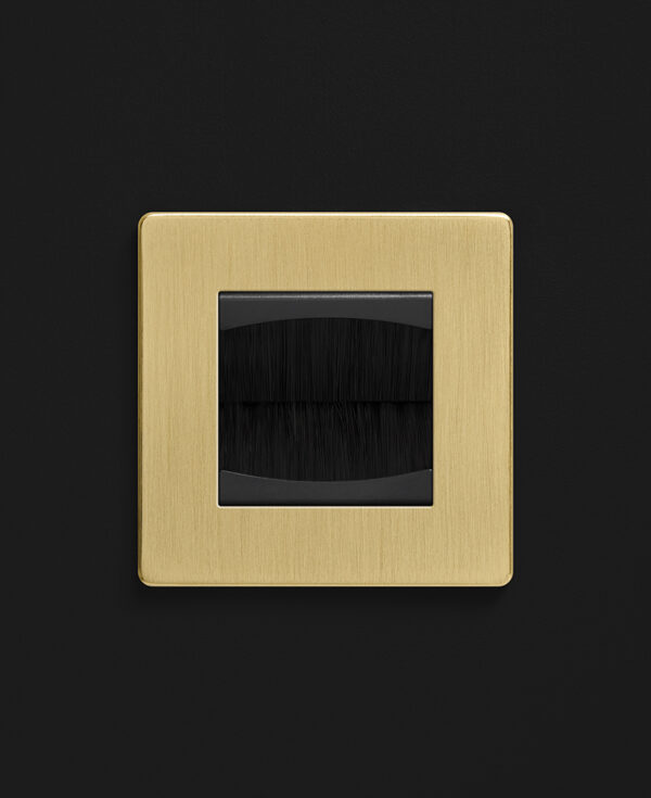 Gold Single Brush Plate with Black or White Insert