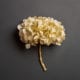 Preserved Ivory Hydrangea Stem for Indoor Use