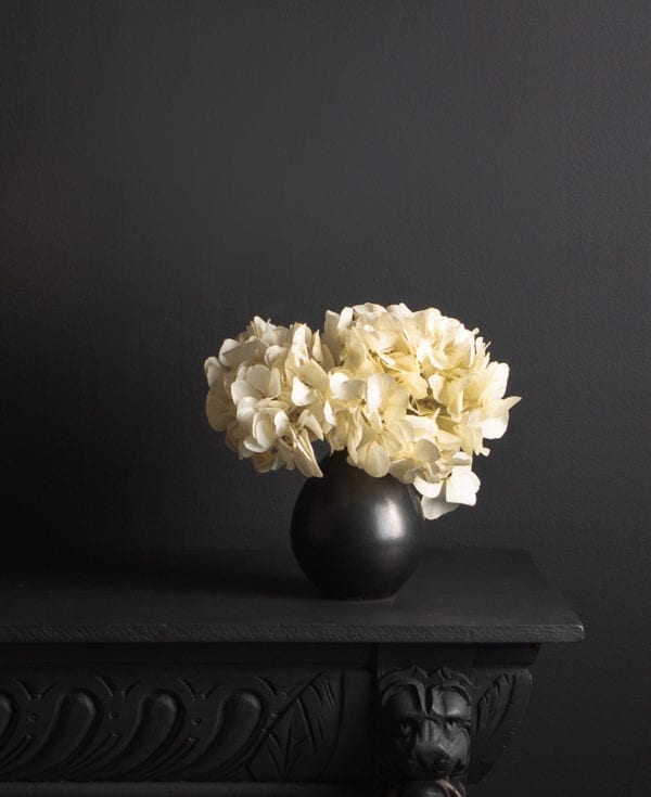 Preserved Ivory Hydrangea Stem for Indoor Use