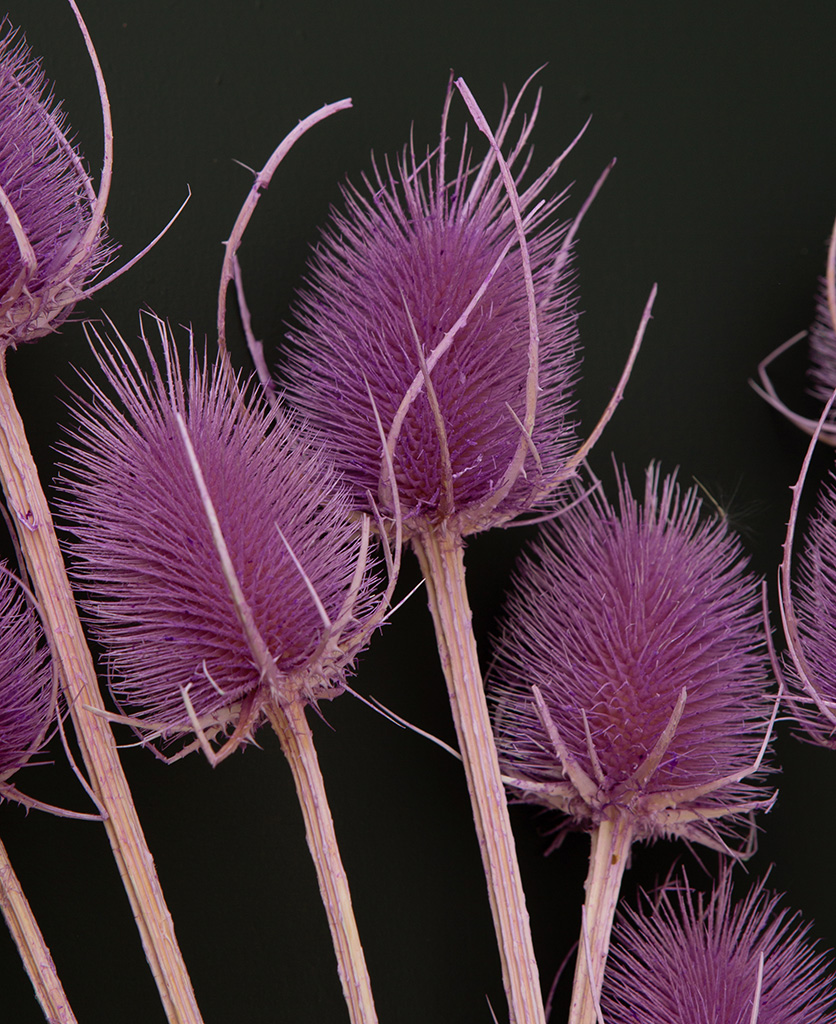 Foliage: Faux Plants & Preserved Plants for Indoor Use