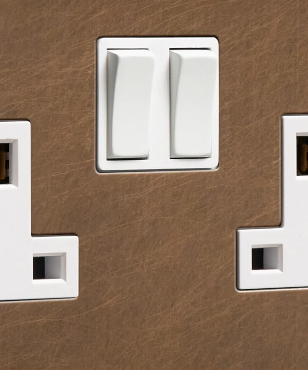 Antique Brass Double Socket | Dowsing & Reynolds